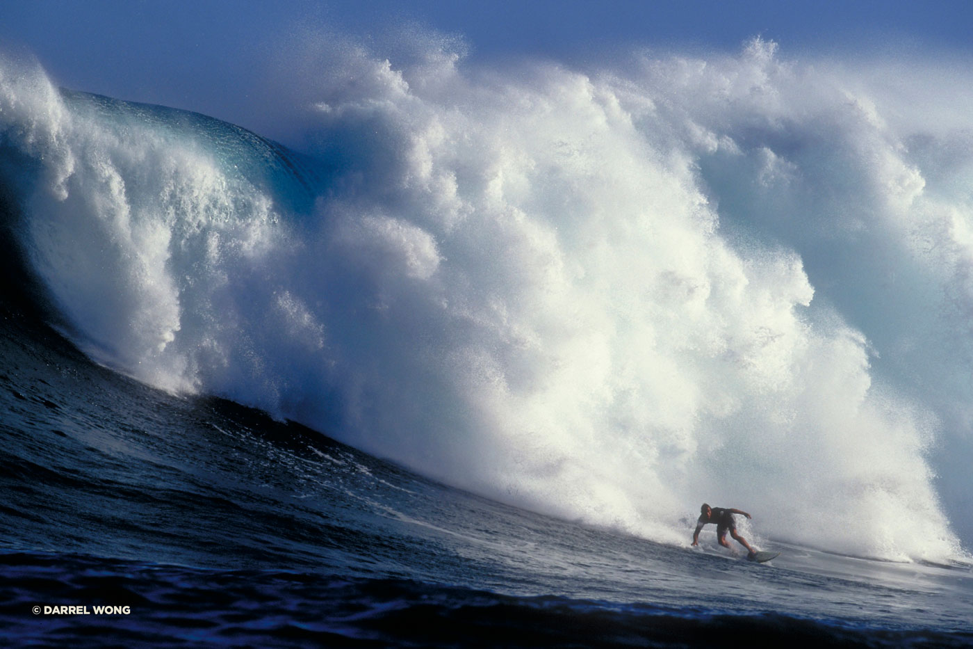 Darrick Doèrner | MFC HAWAII